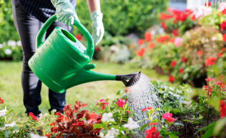 Gardening Tools & Equipment for Kitchen Garden